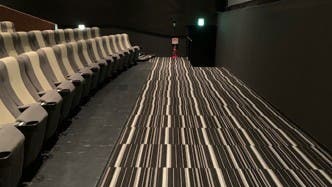 【水戸 158席】映画館で、会社説明会、株主総会、講演会の企画はいかがですか?の写真3