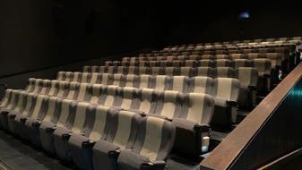 【水戸 133席】映画館で、会社説明会、株主総会、講演会の企画はいかがですか?の写真2