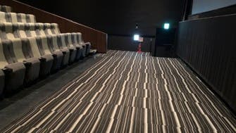 【水戸 133席】映画館で、会社説明会、株主総会、講演会の企画はいかがですか?の写真3