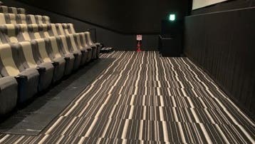 【水戸 123席】映画館で、会社説明会、株主総会、講演会の企画はいかがですか?の写真3