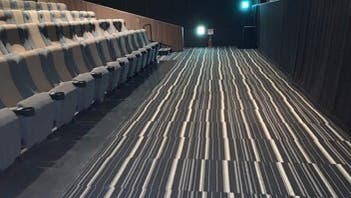 【水戸 173席】映画館で、会社説明会、株主総会、講演会の企画はいかがですか?の写真3