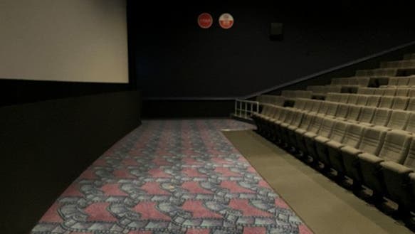 【金沢 272席】映画館で、会社説明会、株主総会、講演会の企画はいかがですか?の写真3