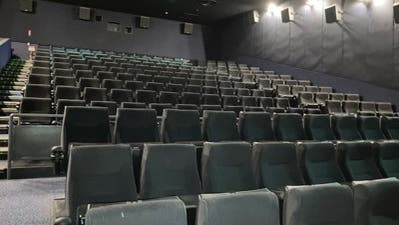 【阿久比 234席】映画館で、会社説明会、株主総会、講演会の企画はいかがですか?の写真2