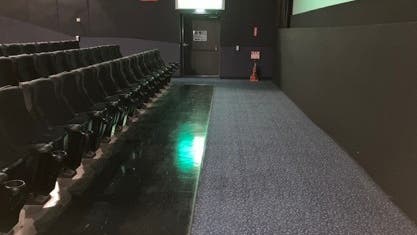 【阿久比 184席】映画館で、会社説明会、株主総会、講演会の企画はいかがですか?の写真3