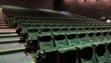 【阿久比 397席】映画館で、会社説明会、株主総会、講演会の企画はいかがですか?の写真2