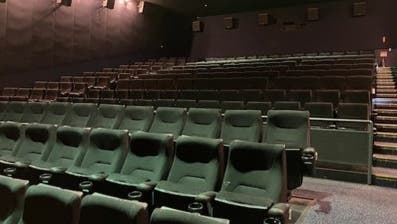 【阿久比 249席】映画館で、会社説明会、株主総会、講演会の企画はいかがですか?の写真2