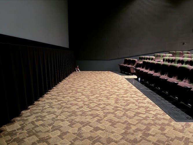 【岡崎 205席】映画館で、会社説明会、株主総会、講演会の企画はいかがですか？の写真3