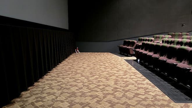 【岡崎 205席】映画館で、会社説明会、株主総会、講演会の企画はいかがですか?の写真3