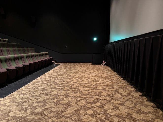 【岡崎 131席】映画館で、会社説明会、株主総会、講演会の企画はいかがですか？の写真3