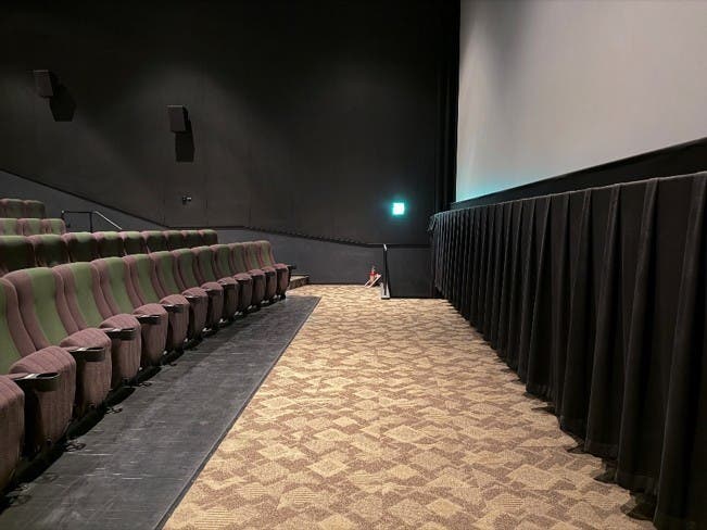 【岡崎 160席】映画館で、会社説明会、株主総会、講演会の企画はいかがですか？の写真3