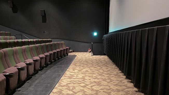 【岡崎 160席】映画館で、会社説明会、株主総会、講演会の企画はいかがですか?の写真3