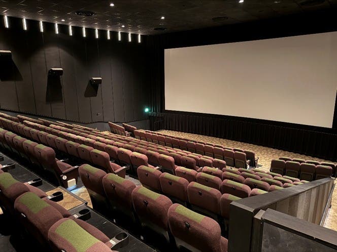 【岡崎 270席】映画館で、会社説明会、株主総会、講演会の企画はいかがですか？の写真1