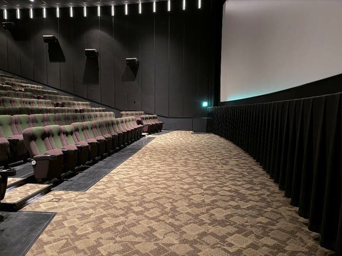 【岡崎 270席】映画館で、会社説明会、株主総会、講演会の企画はいかがですか？の写真3