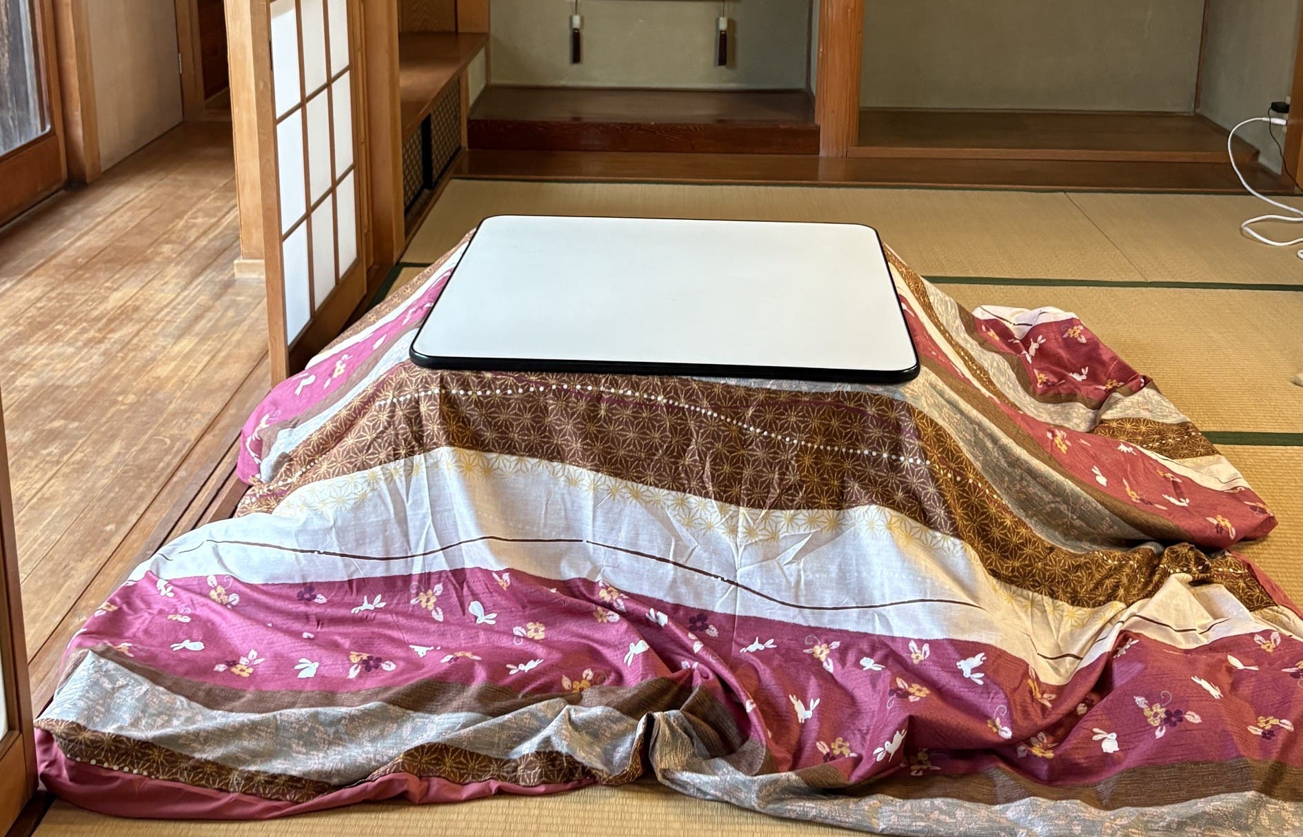 【撮影等に】泉佐野市の築５０年の古民家スペースの写真11