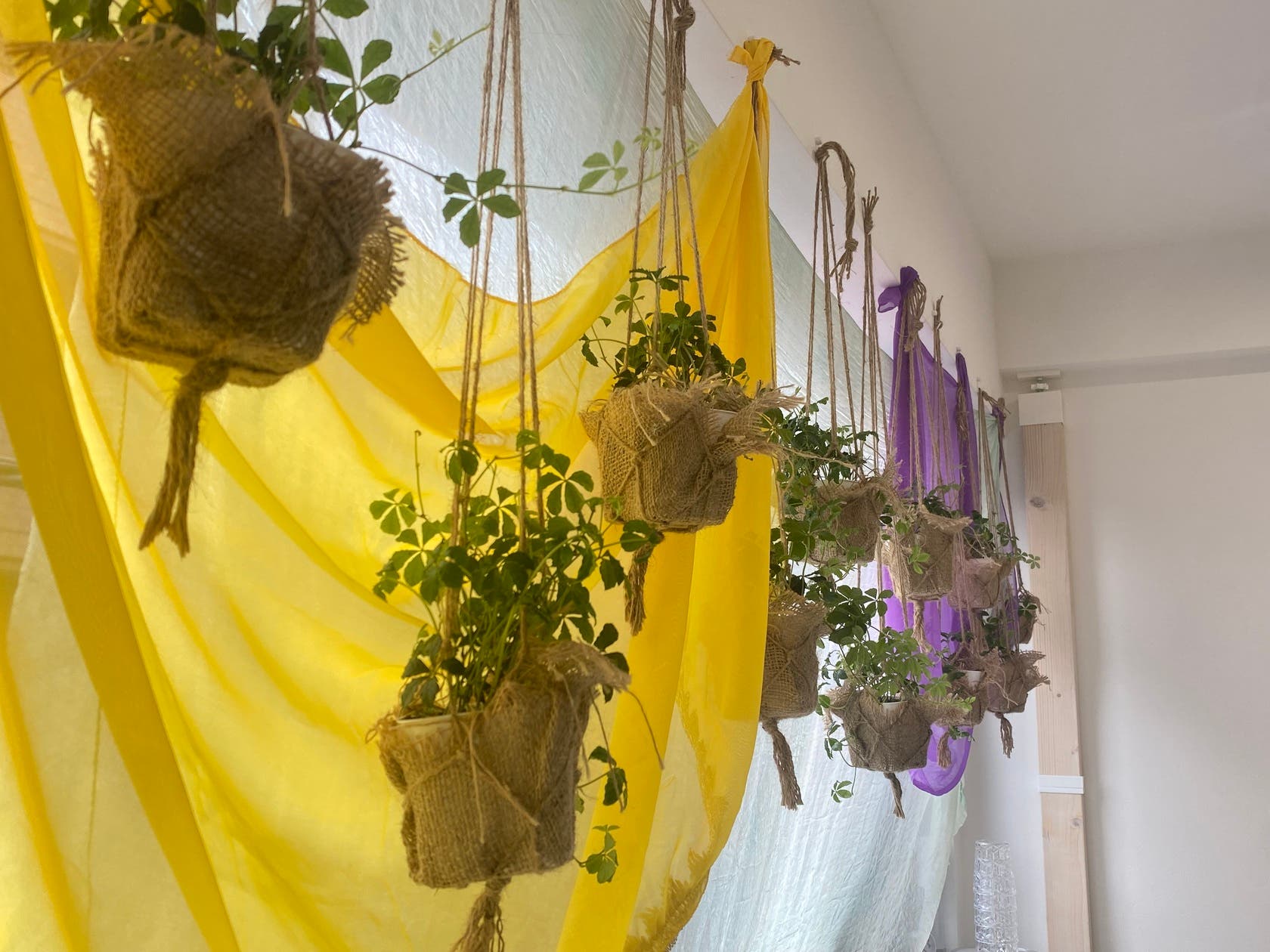 New!一橋学園駅から徒歩2分のスタジオの写真19