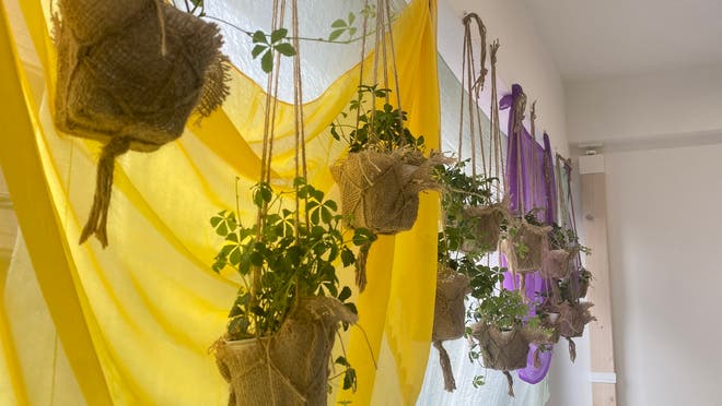 New!一橋学園駅から徒歩2分のスタジオの写真19