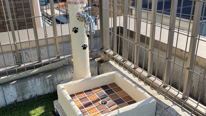 「六町」駅徒歩2分の屋上スペース【スカイツリーも見えます🗼】の写真4