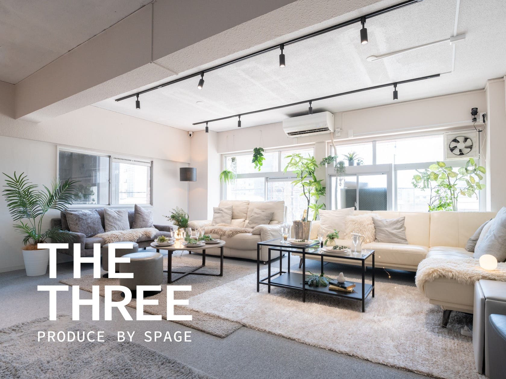 🌱《最大30名》名古屋駅4分｜広々26畳｜撮影・配信｜ポートレート｜新年会｜懇親会｜ 祝成人式｜同窓会｜Wi-Fi｜24Hの写真1