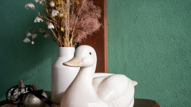 ハウススタジオ 一戸建て 雰囲気重視の方におすすめ 【八王子】の写真6