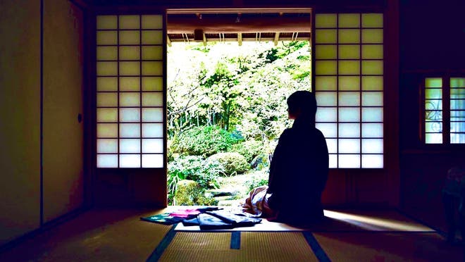 800坪の日本庭園と数寄屋造の茶室に遊ぶの写真26