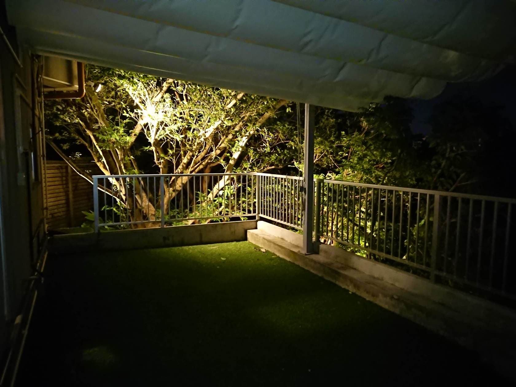 FOREST BIRD JUDOハウスの写真13