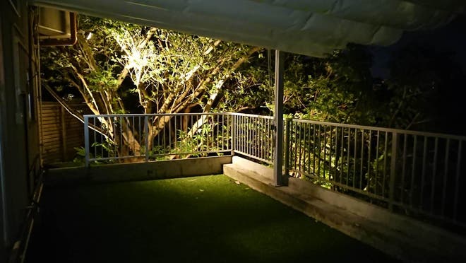 FOREST BIRD JUDOハウスの写真13