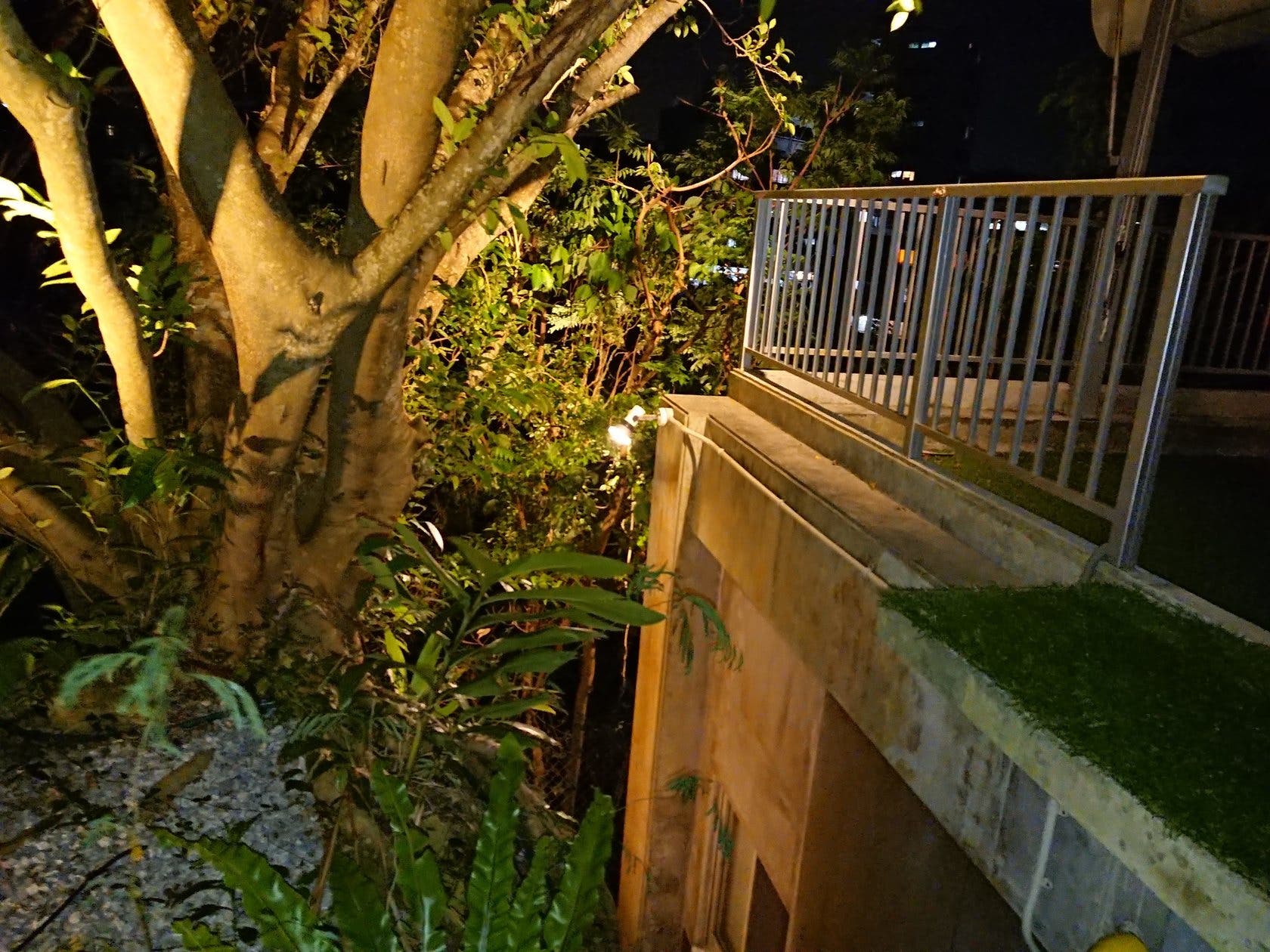 FOREST BIRD JUDOハウスの写真14