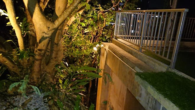 FOREST BIRD JUDOハウスの写真14