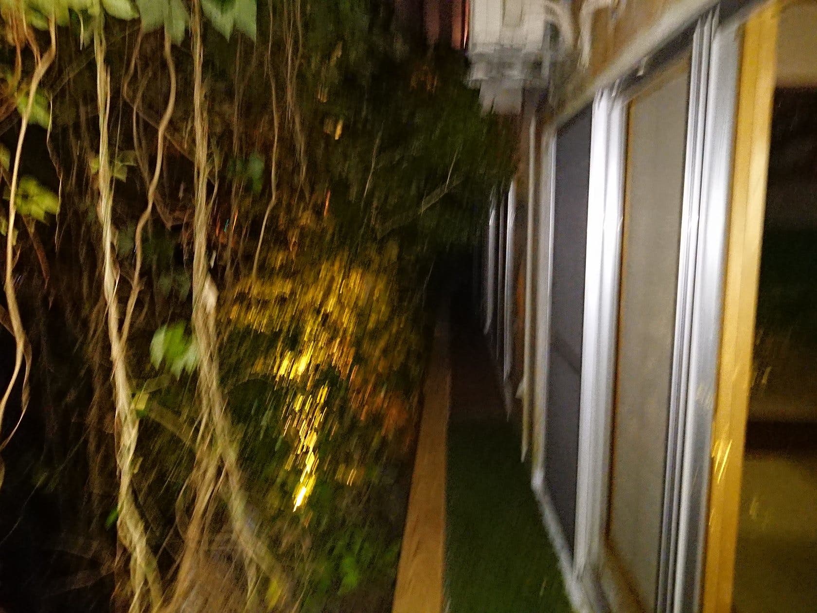 FOREST BIRD JUDOハウスの写真18