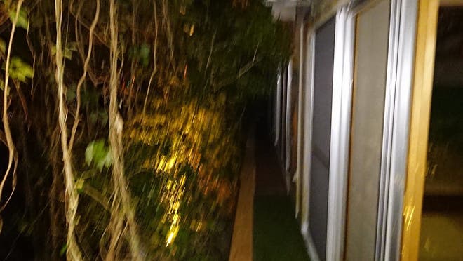 FOREST BIRD JUDOハウスの写真18