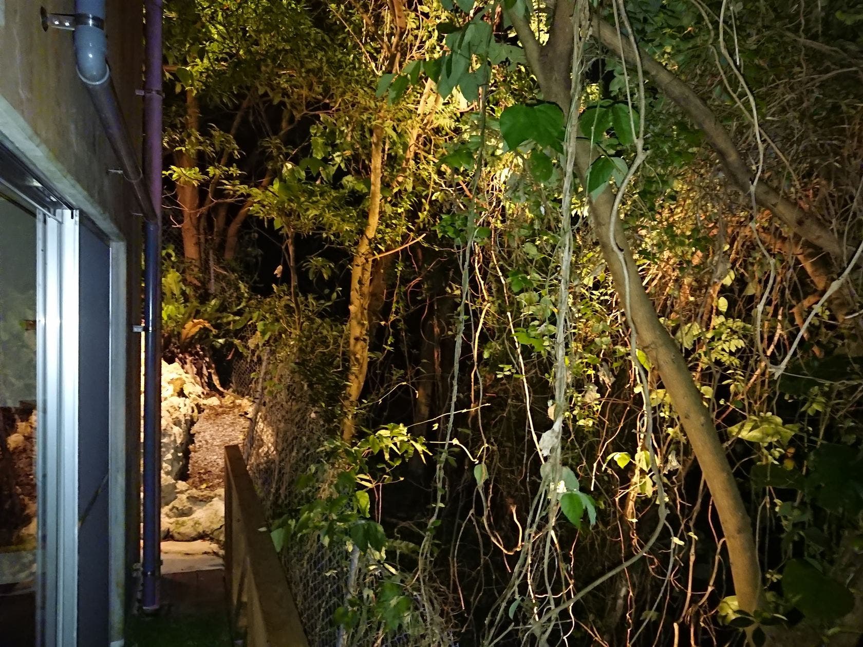 FOREST BIRD JUDOハウスの写真19