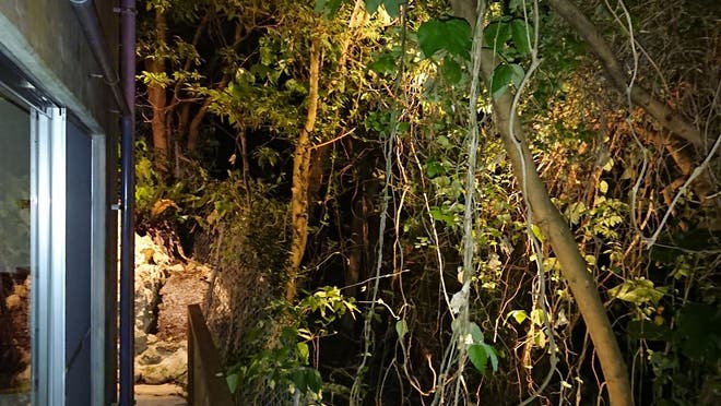 FOREST BIRD JUDOハウスの写真19