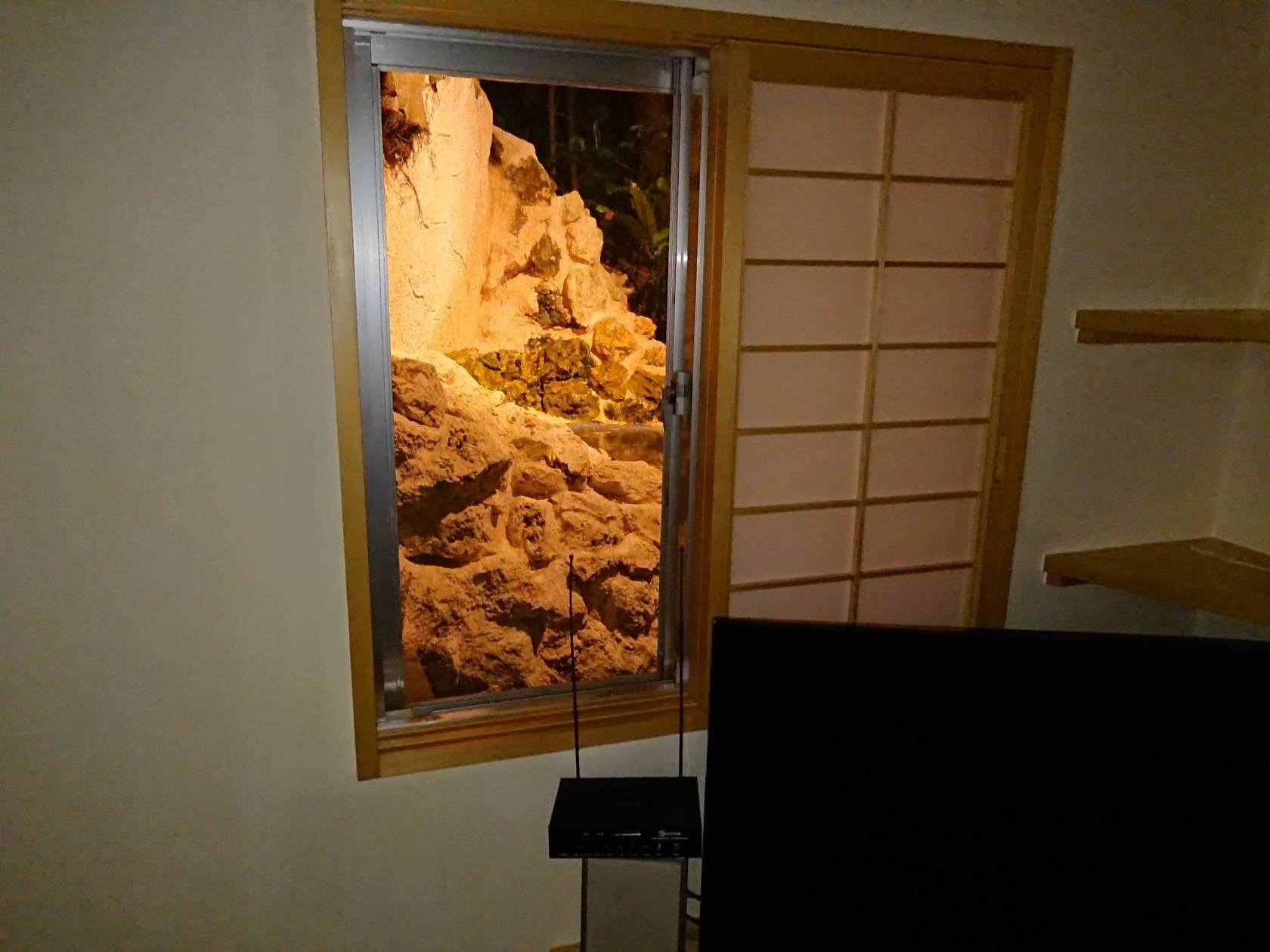 FOREST BIRD JUDOハウスの写真20