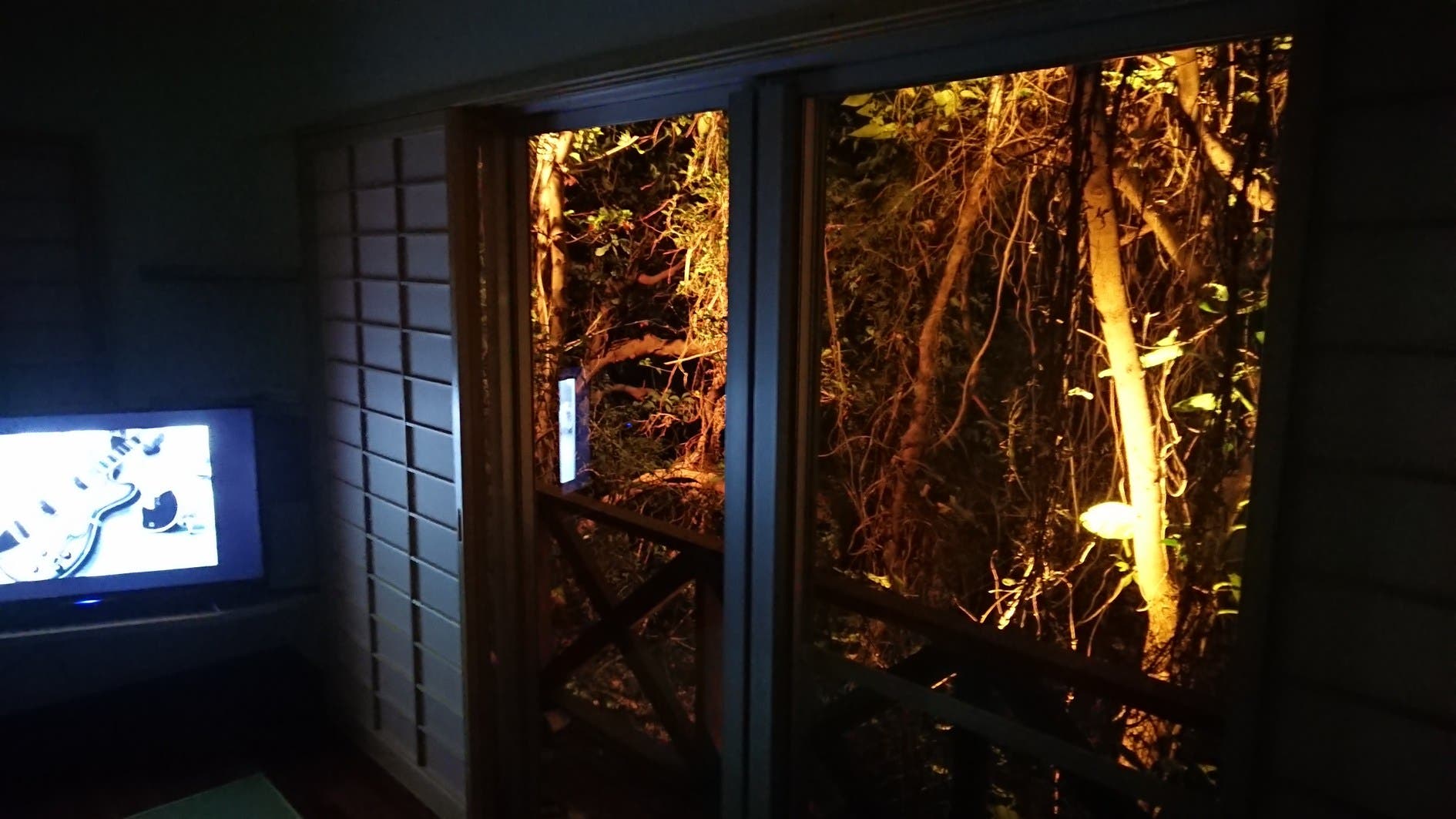 FOREST BIRD JUDOハウスの写真28