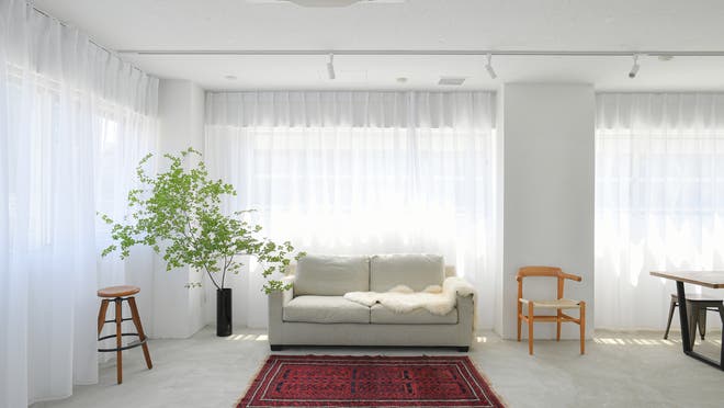 最低時間1時間ペットOK!ゴミ持ち帰り掃除不要!東京タワーすぐ自然光が入る1日明るい撮影スタジオの写真1