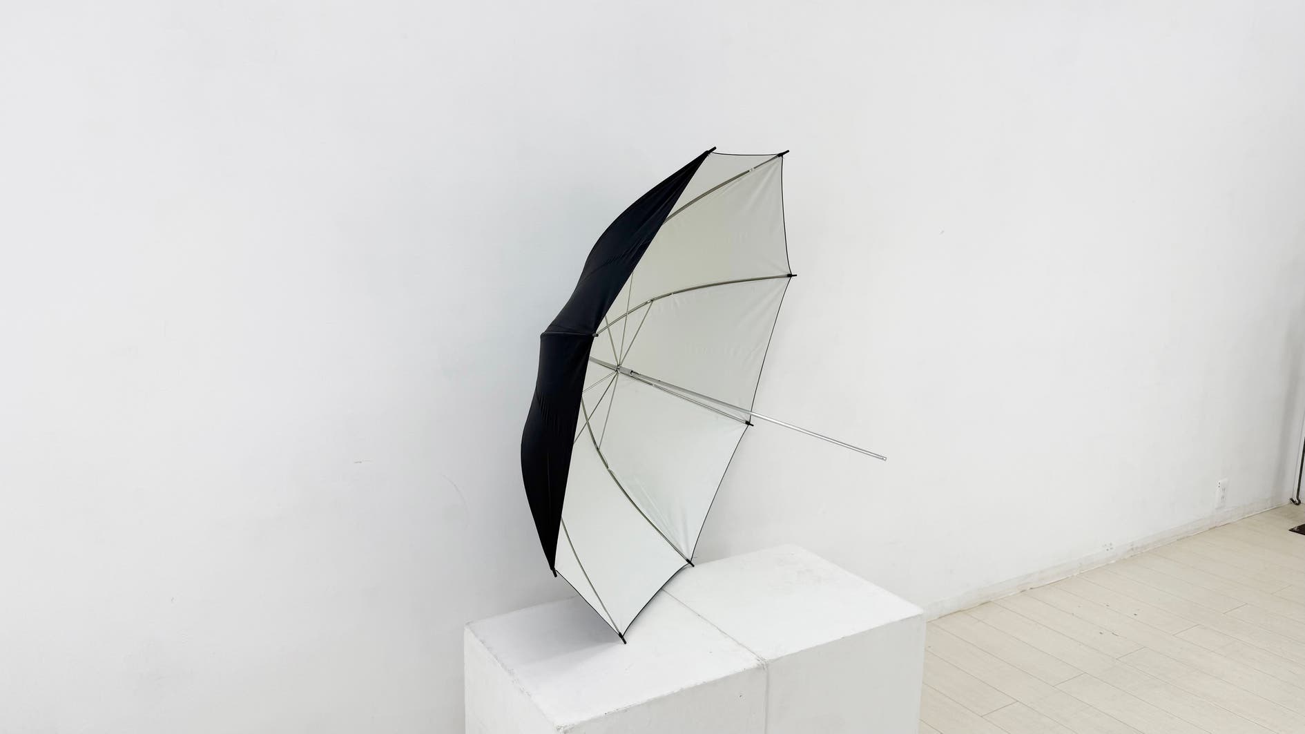 アンブレラの画像1