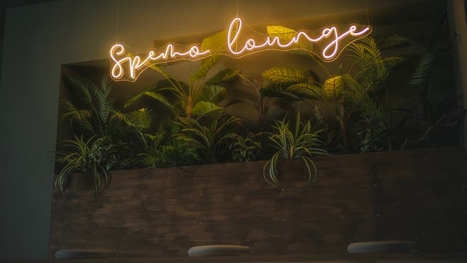 スペモ🌿新宿4分🚶キッチン🍳プロジェクター🎥パーティー🥂自然光🔅647_SpemoLOUNGE新宿の写真17