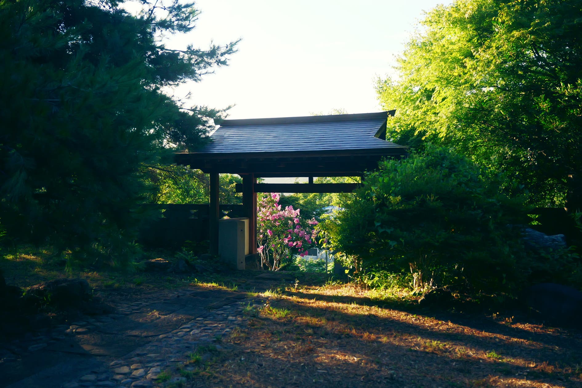 【山梨・大月】築150年超の古民家「えんがわ / engawa」｜自然光溢れる縁側と和室と庭｜撮影・ロケ・ワークショップなどにの写真4