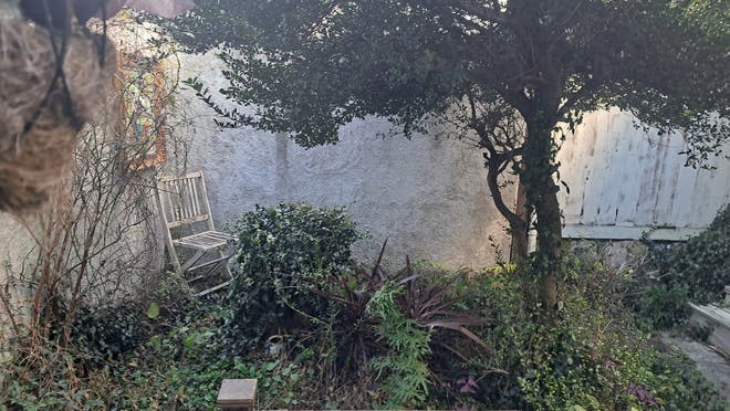 異国の空間の写真14