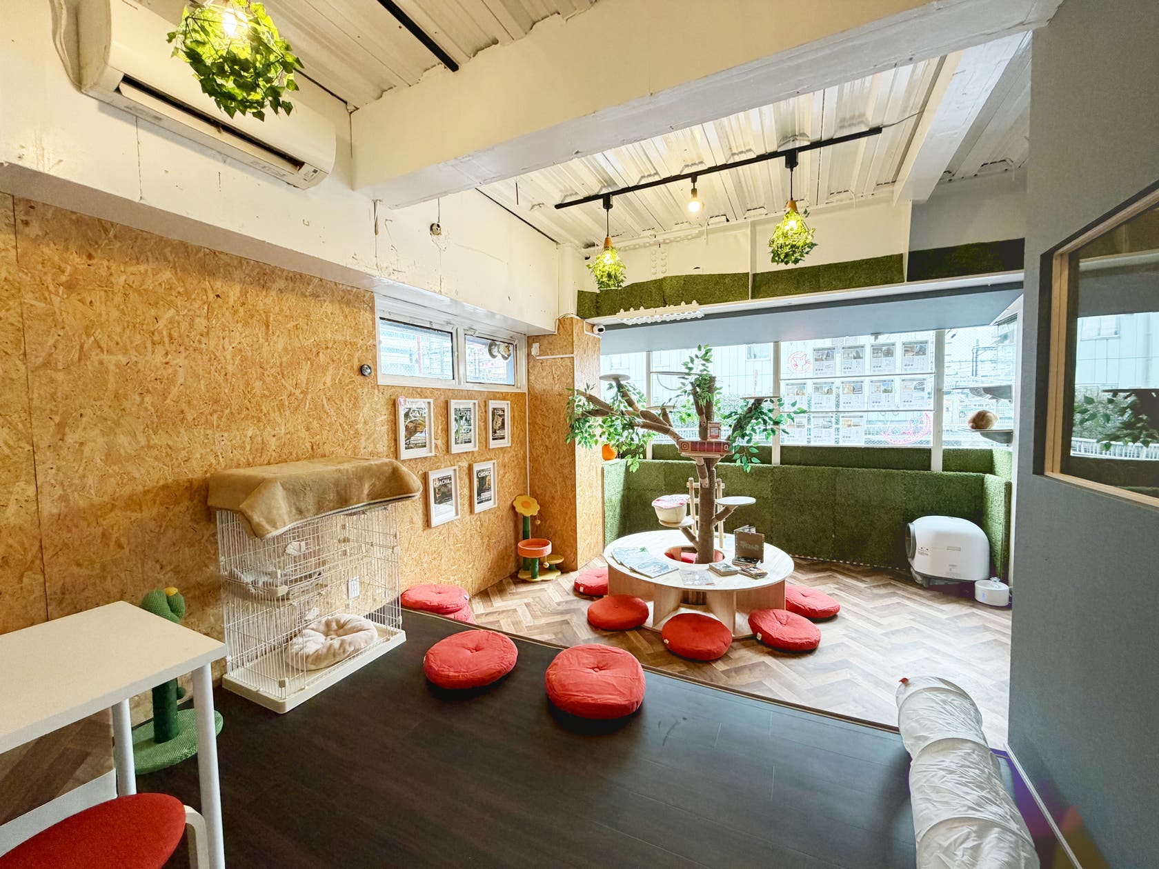 猫との空間を貸切利用の写真1