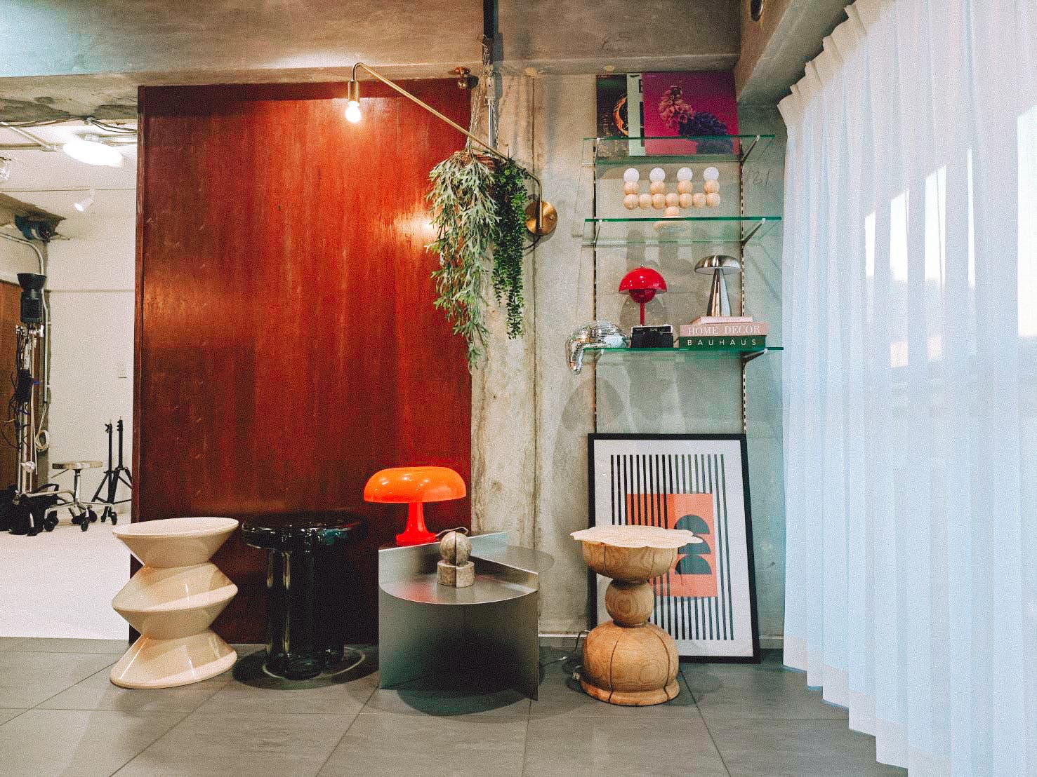 NEW参宮橋６分｜白壁木コンクリ二面｜撮影・ワークショップ・展示の写真29