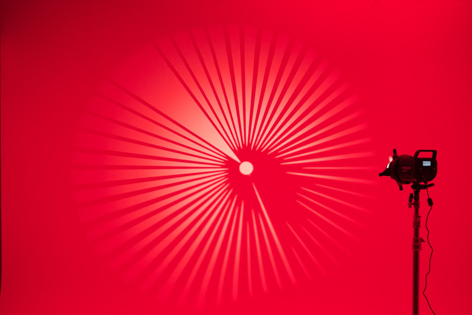 白ホリゾント撮影スタジオ。天井高2.9m、引き7.6m。ストロボ・カラーLED・ソフトボックス・スタンドなど豊富な撮影機材。 の写真15