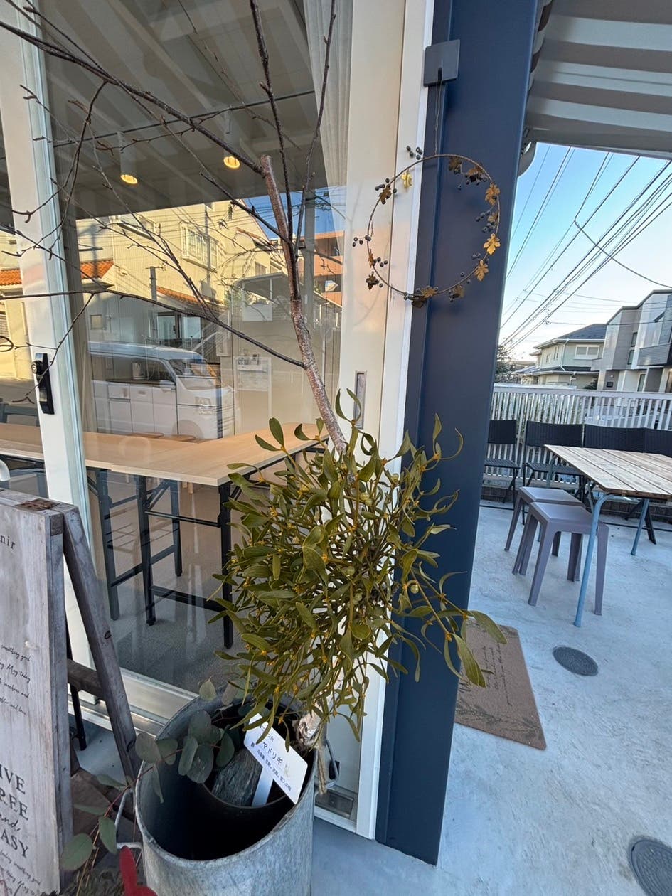 田園都市線沿い 鷺沼駅から徒歩7分のポップアップストアの写真12