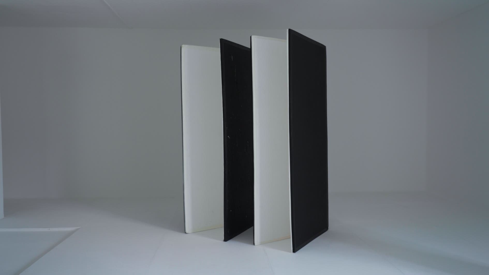 カポックの画像1