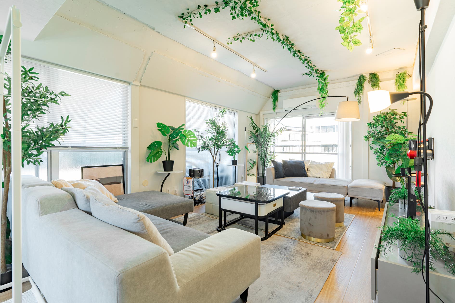 池袋駅徒歩5分🚶‍♂️最大12名◎交流会・懇親会に最適✨女子会・推し活🍃映画鑑賞🎥コスプレ撮影📷自然光×ポートレート🌟の写真1