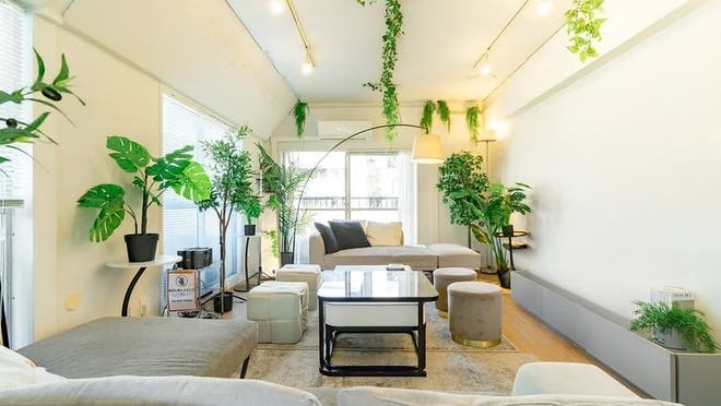 池袋駅徒歩5分🚶♂️最大12名◎交流会・懇親会に最適✨女子会・推し活🍃映画鑑賞🎥コスプレ撮影📷自然光◎バレンタイン🍫の写真5