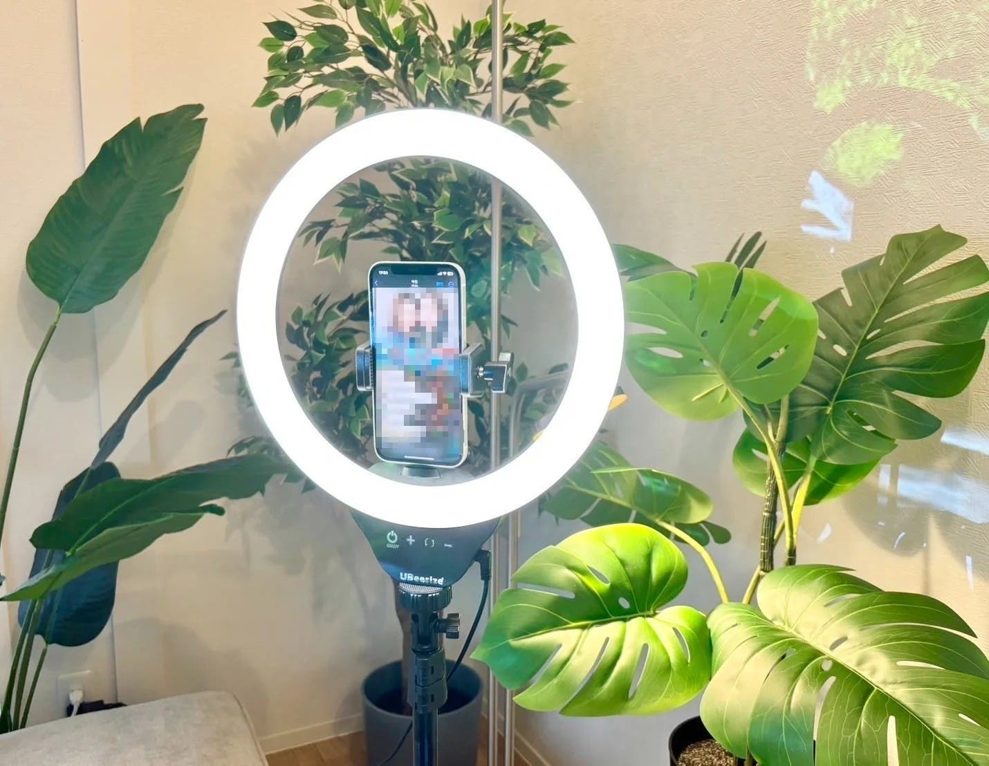 池袋駅徒歩5分🚶‍♂️最大12名◎交流会・懇親会に最適✨女子会・推し活🍃映画鑑賞🎥コスプレ撮影📷自然光×ポートレート🌟の写真14