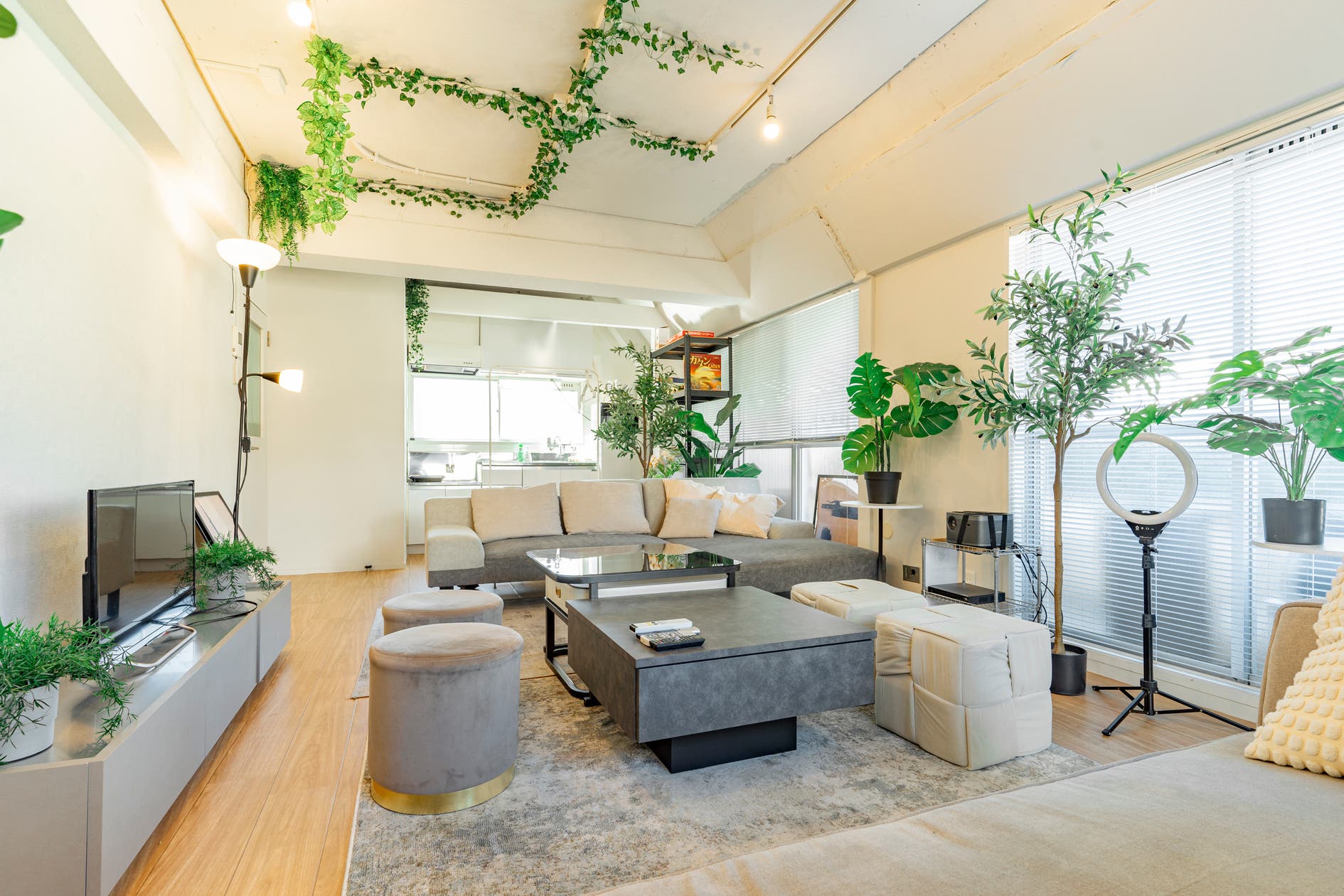 池袋駅徒歩5分🚶‍♂️最大12名◎交流会・懇親会に最適✨女子会・推し活🍃映画鑑賞🎥コスプレ撮影📷自然光×ポートレート🌟の写真19