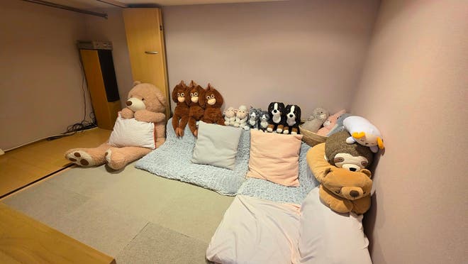 401号室🍏プレステ4🎮️プロジェクター🎥調理器具多🍴ロフト付🎪ゴミ処理無料👍の写真27