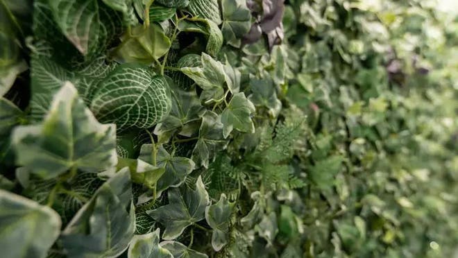 飯田橋駅A2出口から徒歩30秒|最大8名|会議、商談、セミナー、勉強会、ボードゲーム、レッスン、女子会の利用に最適!の写真16